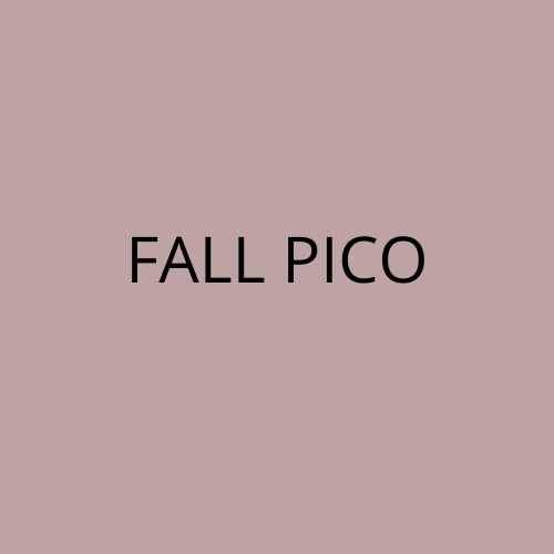 Fall Pico - Shivangi Kasliwal